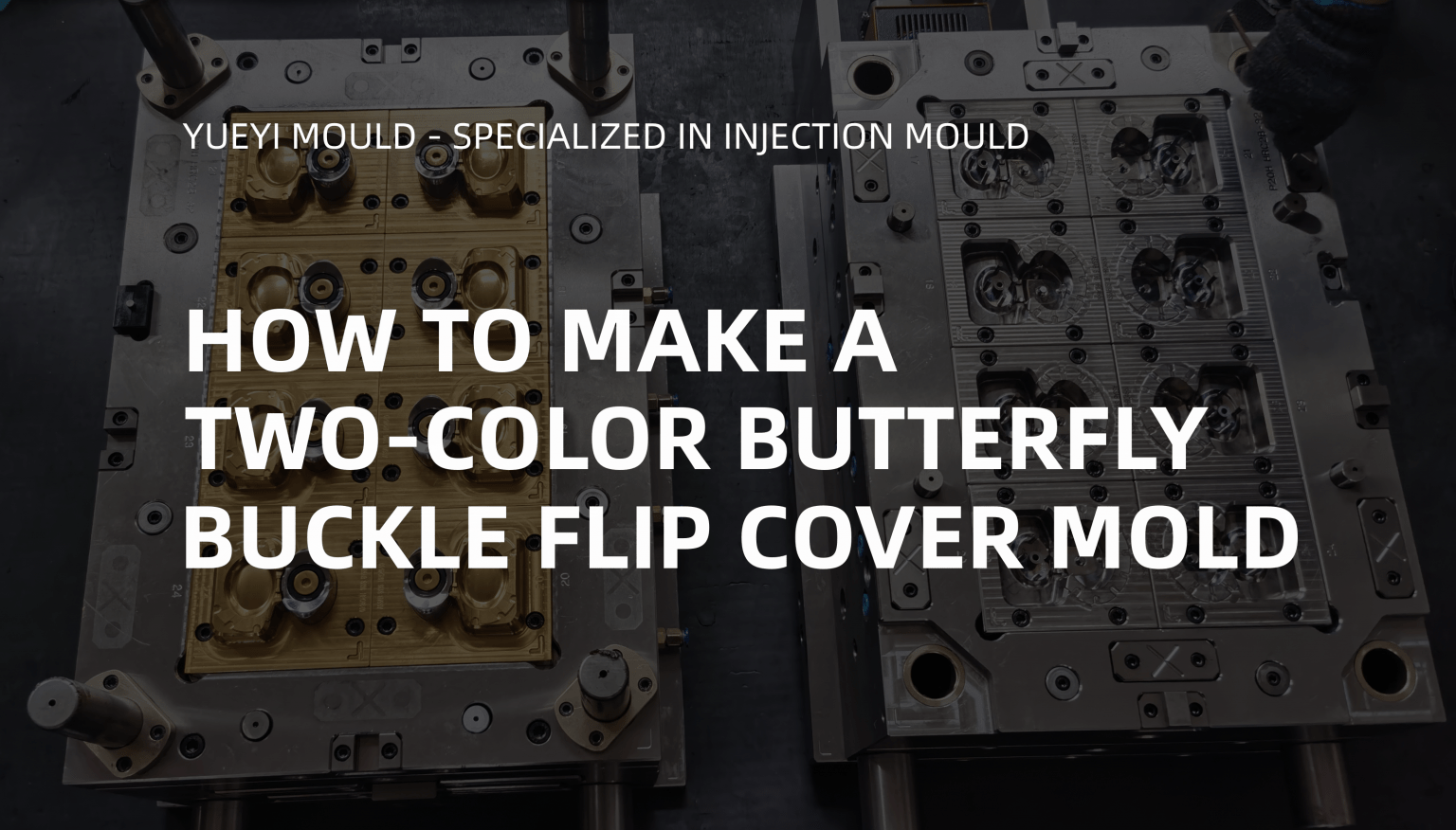 How to make a two-color butterfly buckle flip cover mold - YUEYI MOULD